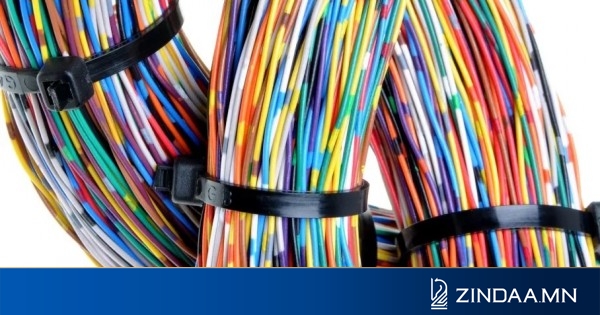Хүн төрөлхтөнд амин чухал зургаа
